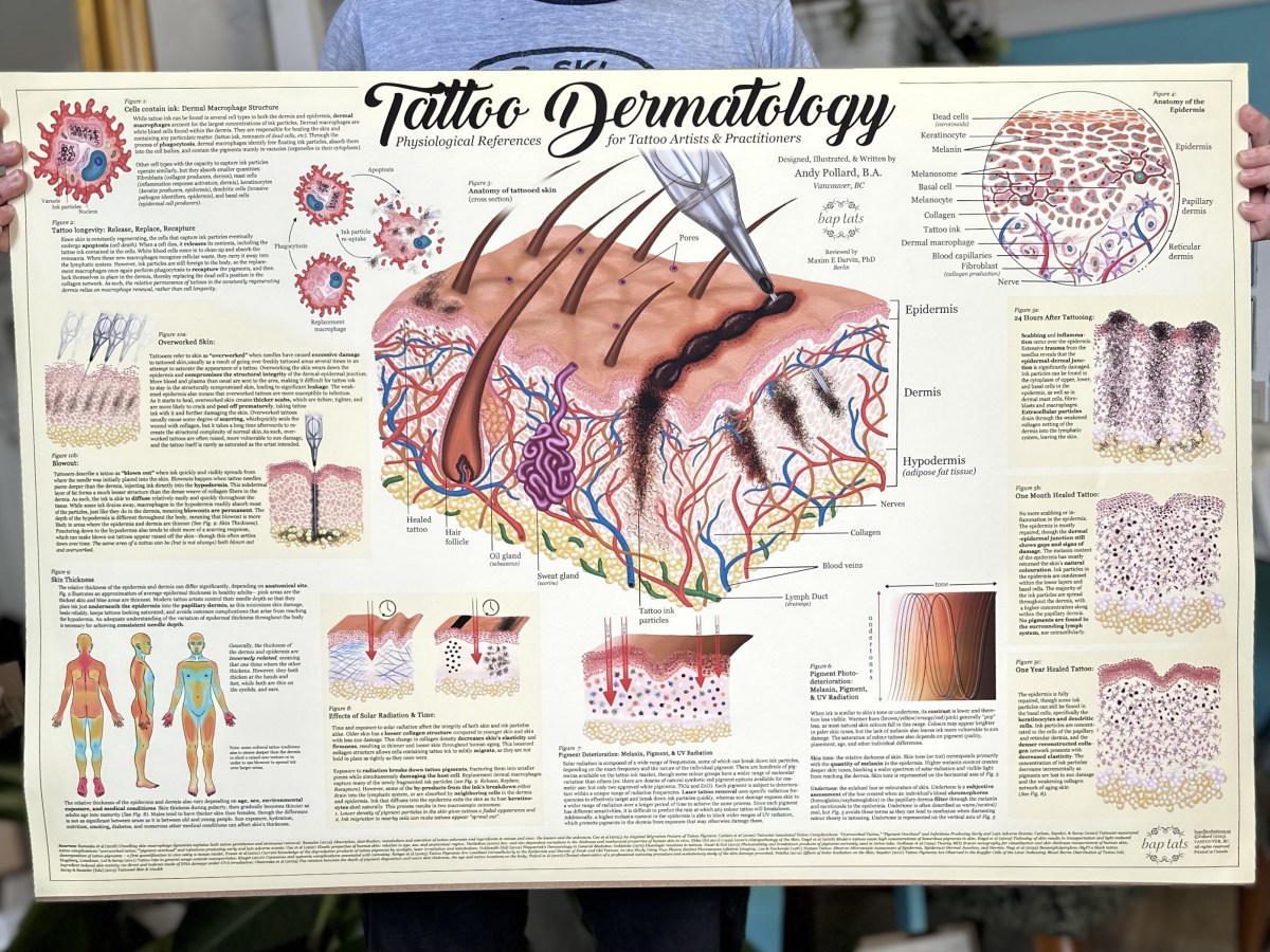 Tattoo Dermatology: Physiological References for Tattoo Artists and ...